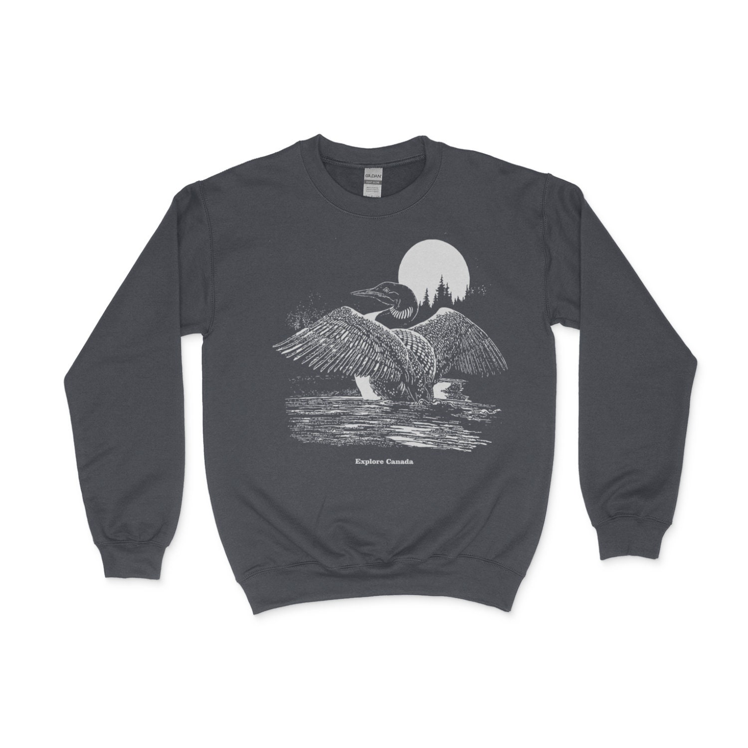 Vintage Style Canada Loon Sweater Nature Retro Style Sweater | Etsy