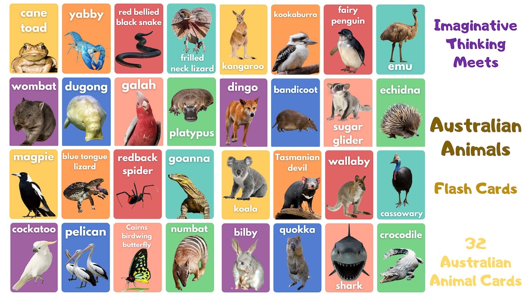 Australian Animals Printable Flashcards - Etsy