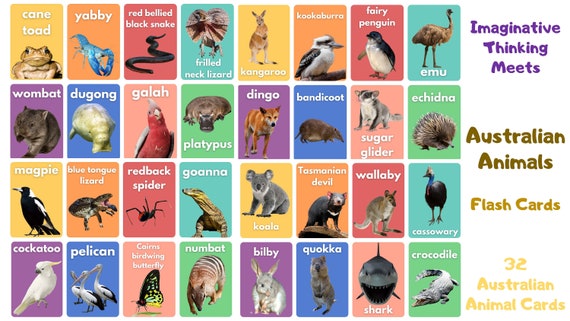 Australian Animals Printable Flashcards | Etsy