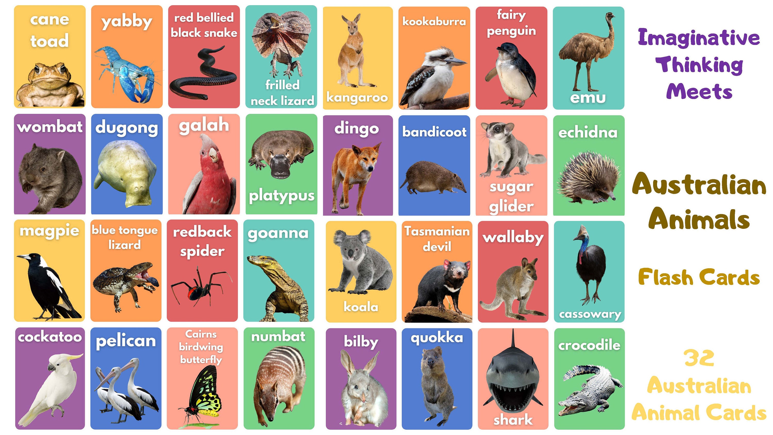 Australian Animals Printable Flashcards - Etsy