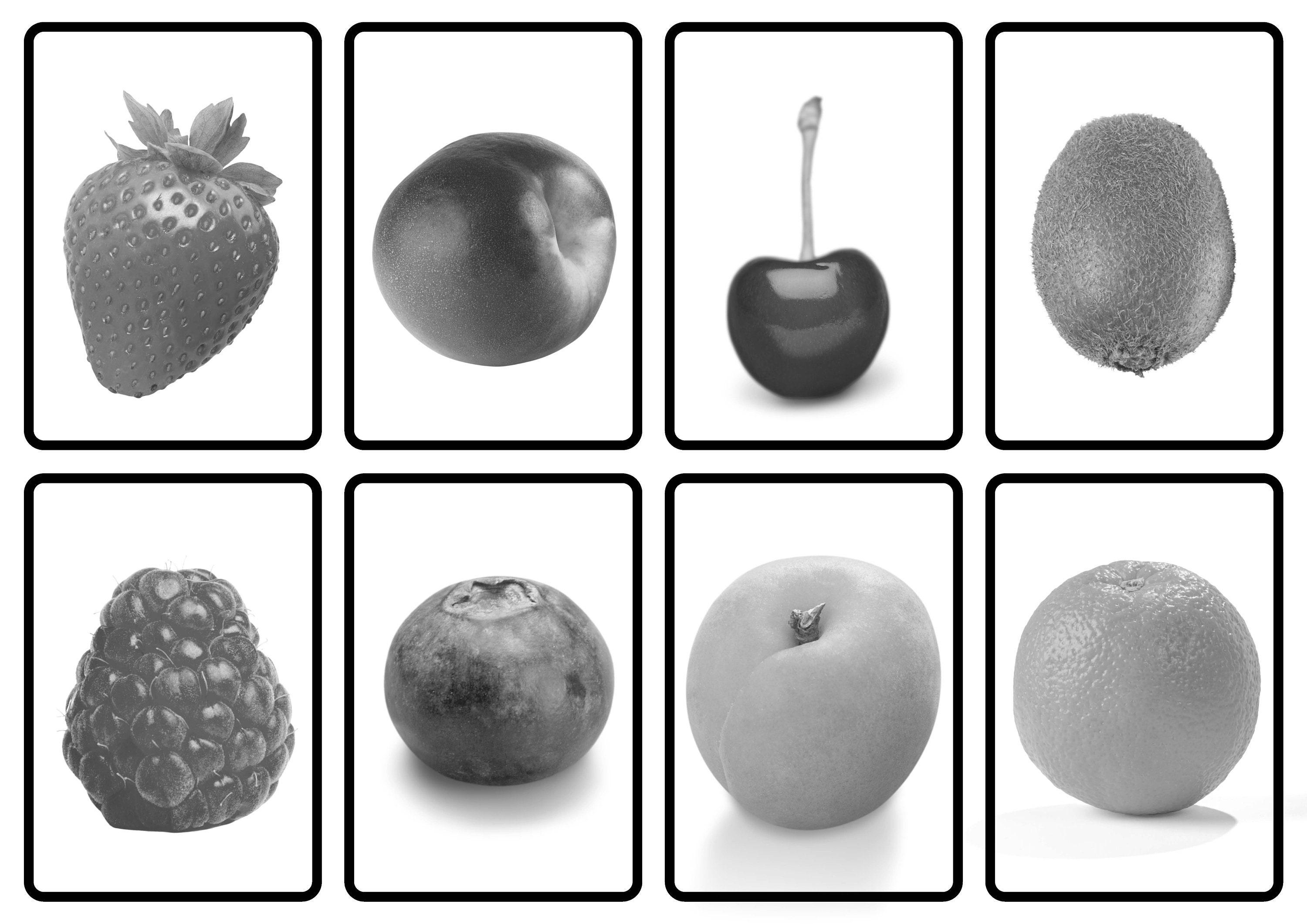 Educational Flashcards, Fruit Discovery - Etsy