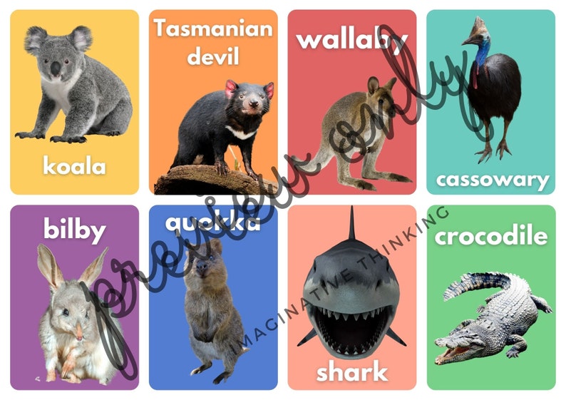 Australian Animals Printable Flashcards - Etsy
