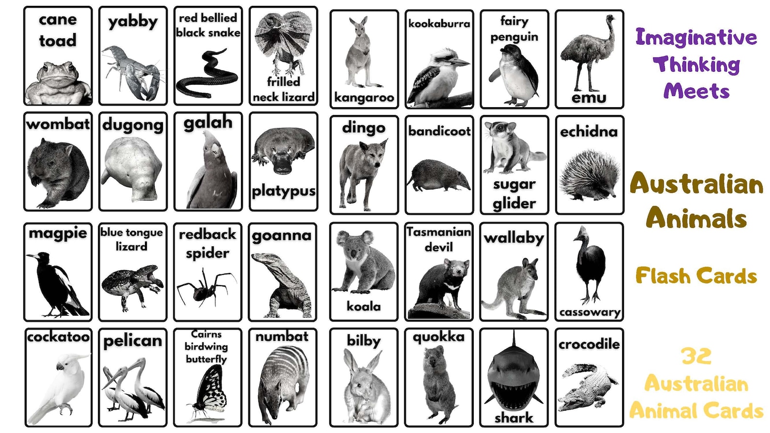 Australian Animals Printable Flashcards - Etsy