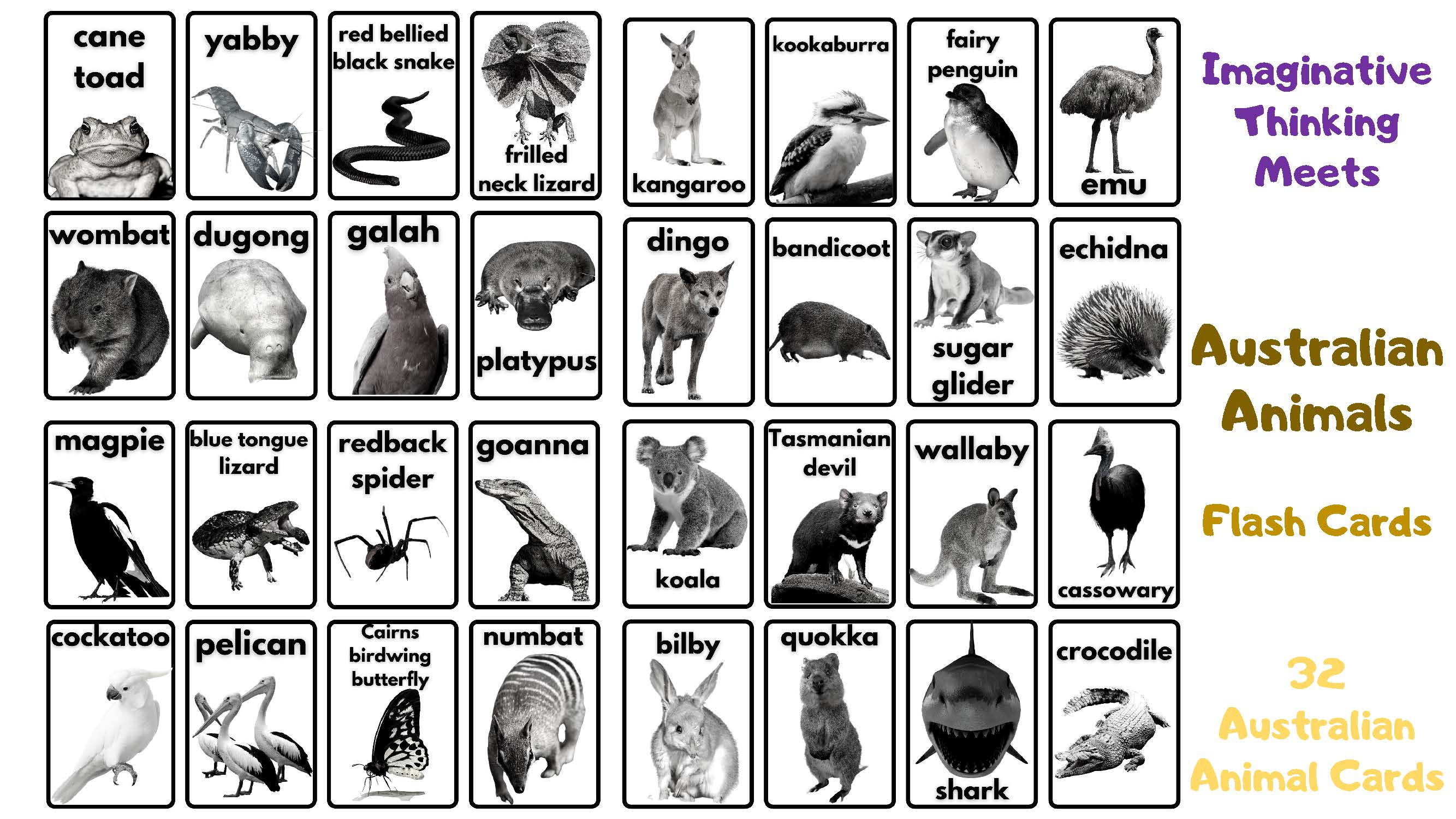 Australian Animals Printable Flashcards - Etsy