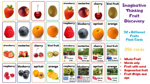 Educational Flashcards Fruit Discovery | Etsy