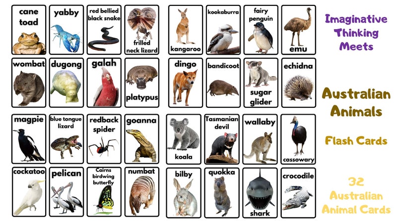 Australian Animals Printable Flashcards - Etsy