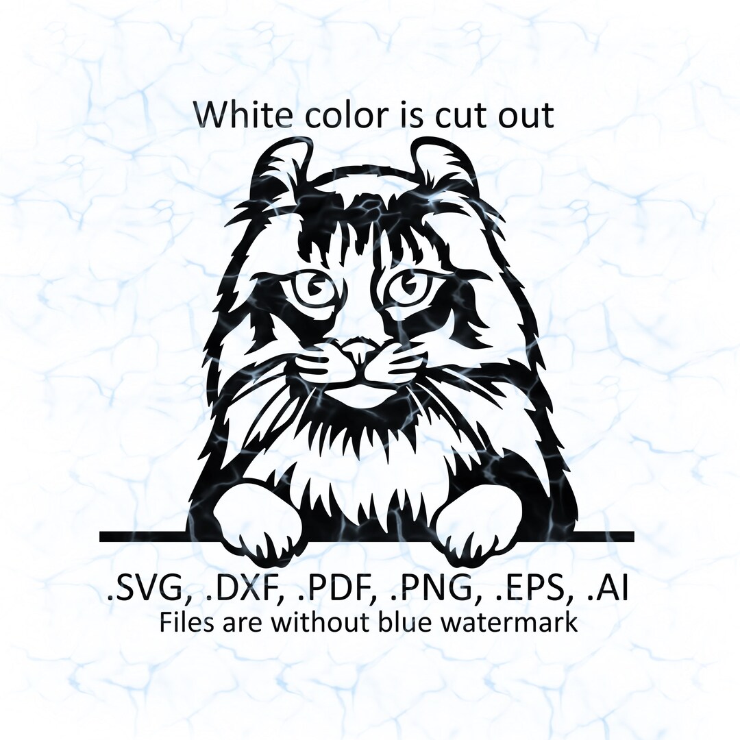 American Curl Svg Vector, American Curl Peeking Logo, Pdf, Dxf, Ai, Eps ...