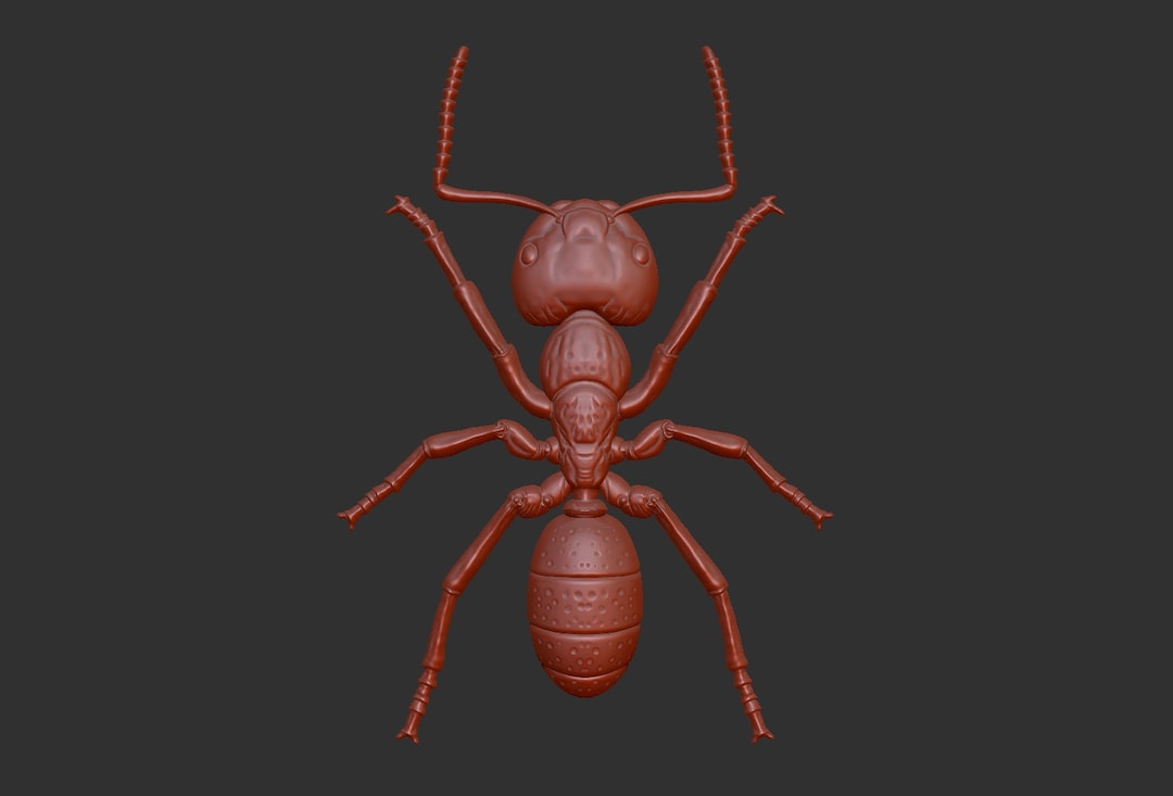 Ant 3d Stl Model Relief Element, CNC Router Engraver, CNC Files - Etsy