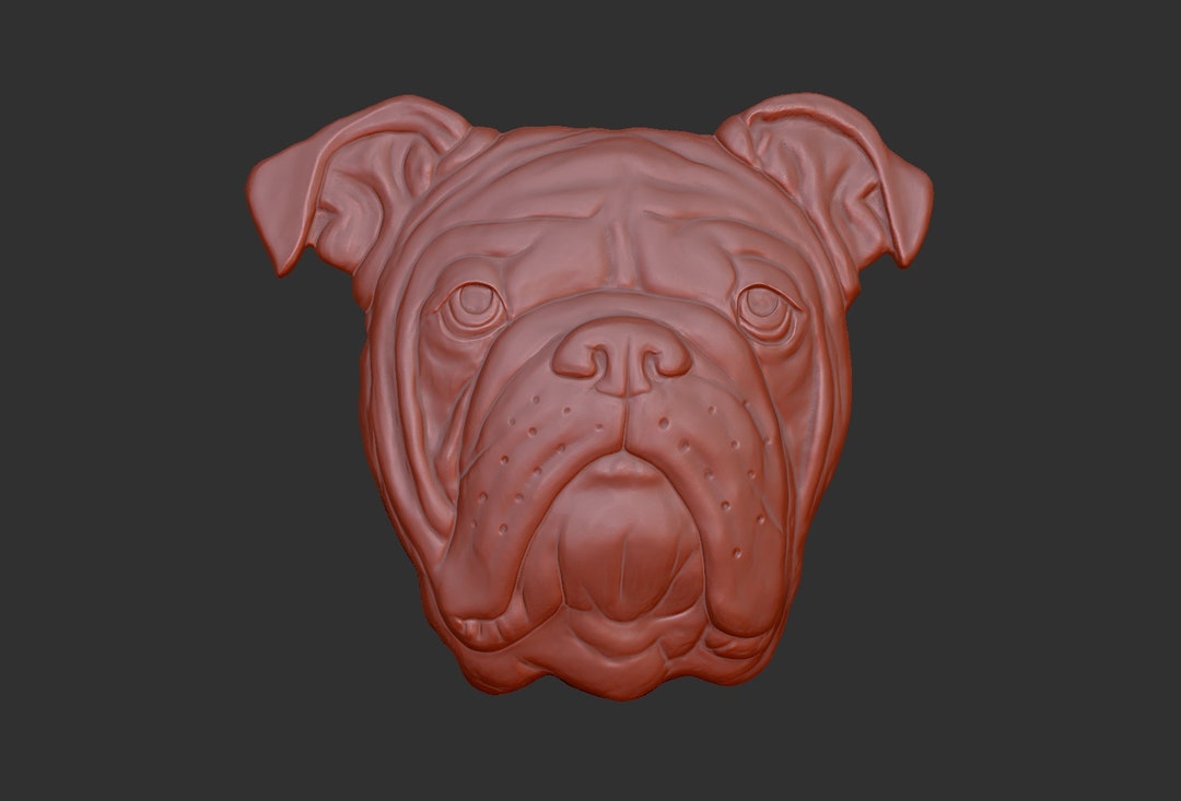 English Bulldog 3d Stl Model Relief Element, CNC Router Engraver, CNC ...
