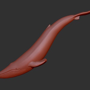 Whale 3d Stl Model Relief Element, CNC Router Engraver, CNC Files - Etsy