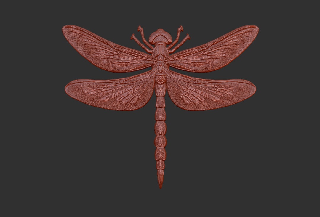 Dragonfly 3d .stl Relief Model, CNC Router Engraver, CNC Files - Etsy