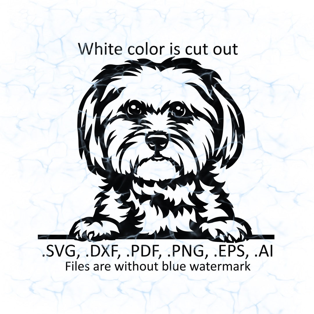 Maltese Dog Svg Vector, Maltese Dog Peeking Logo, Pdf, Dxf, Ai, Eps ...