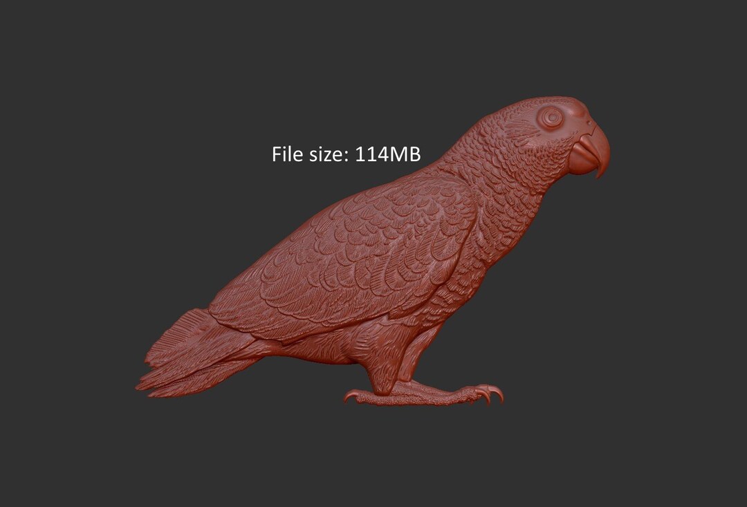 Grey Parrot 3d .stl Model Relief Element, CNC Files - Etsy