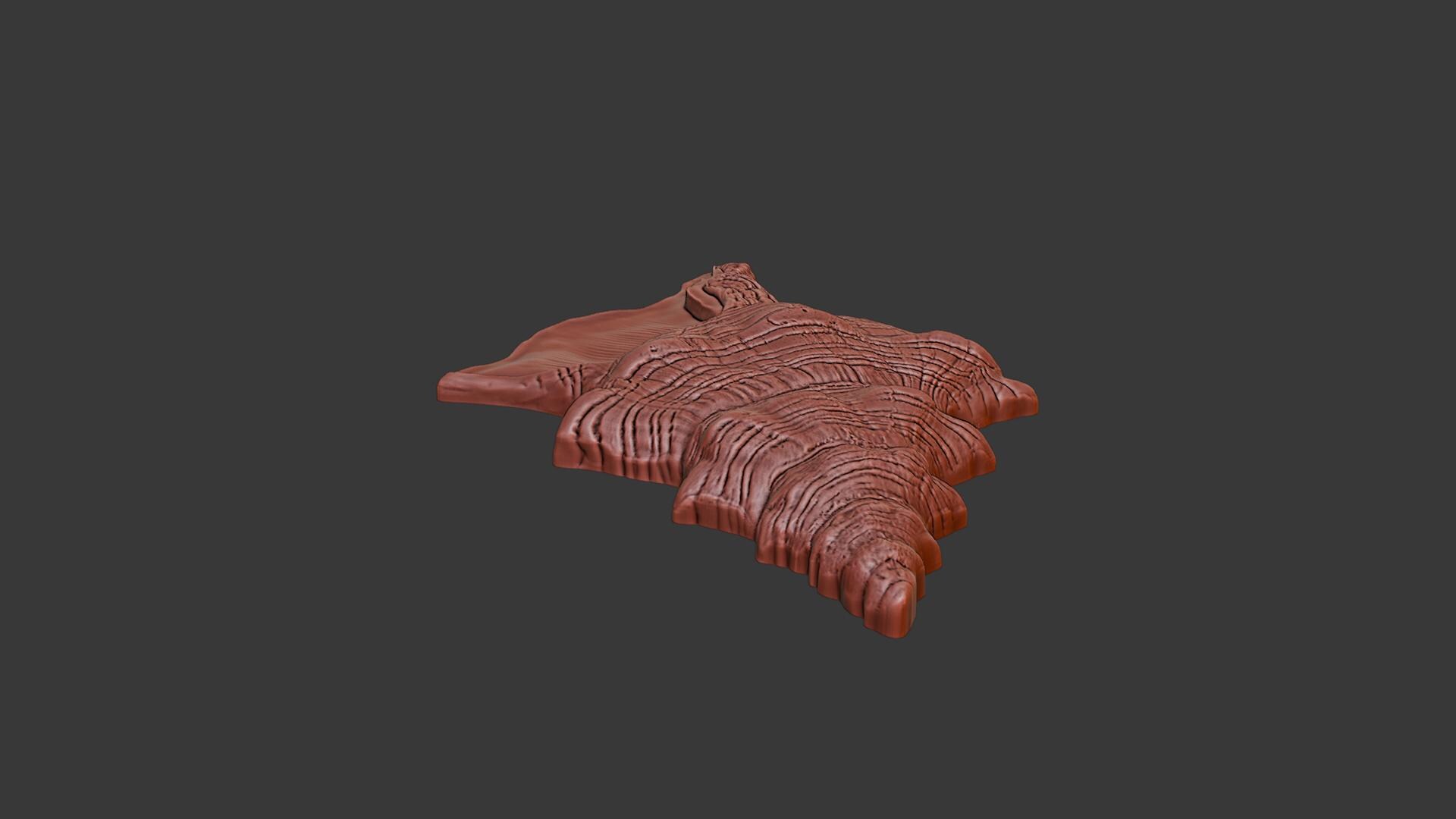 Seashell Stl 3d Model Relief Element, CNC Files - Etsy