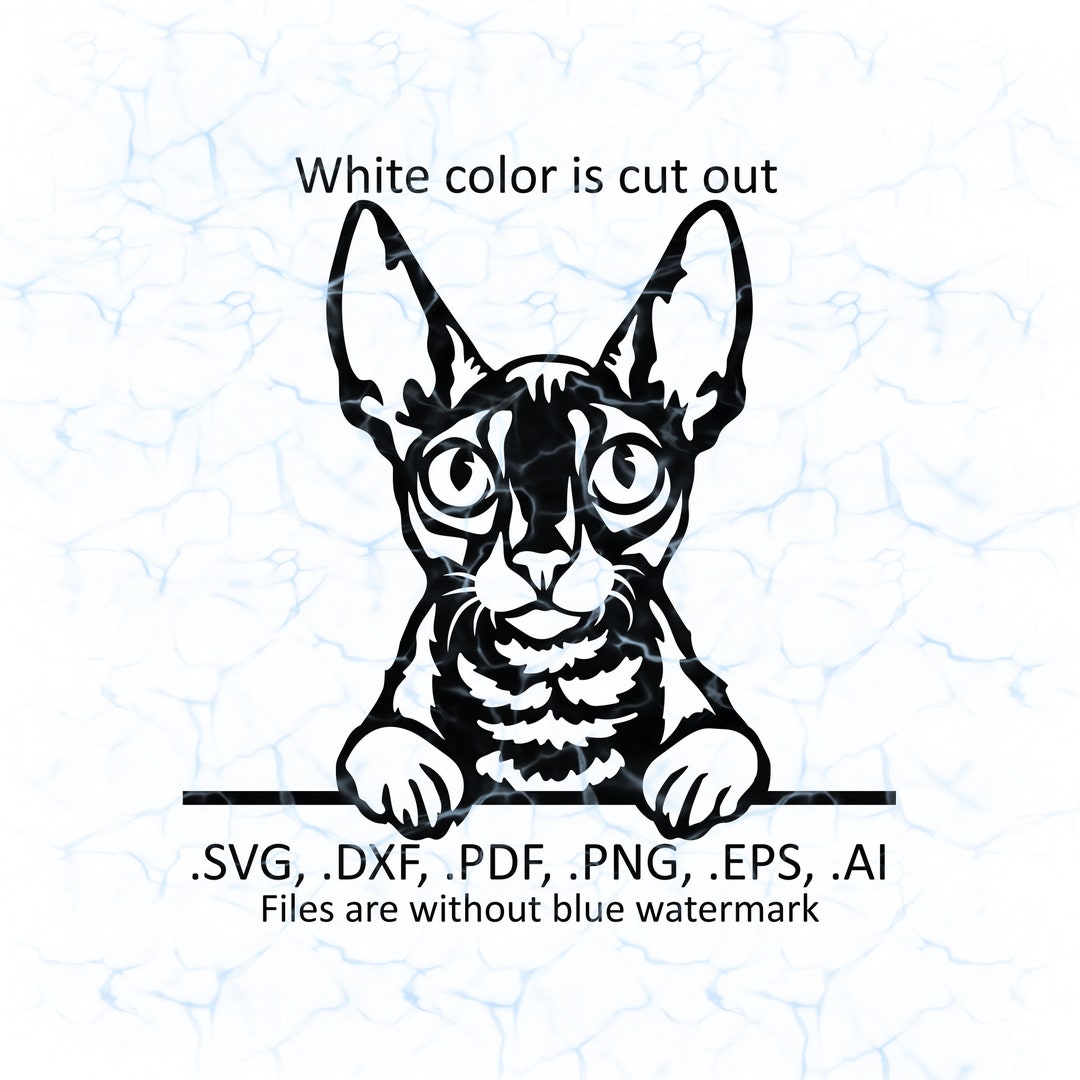 Cornish Rex Svg Vector, Cornish Rex Peeking Logo, Pdf, Dxf, Ai, Eps ...