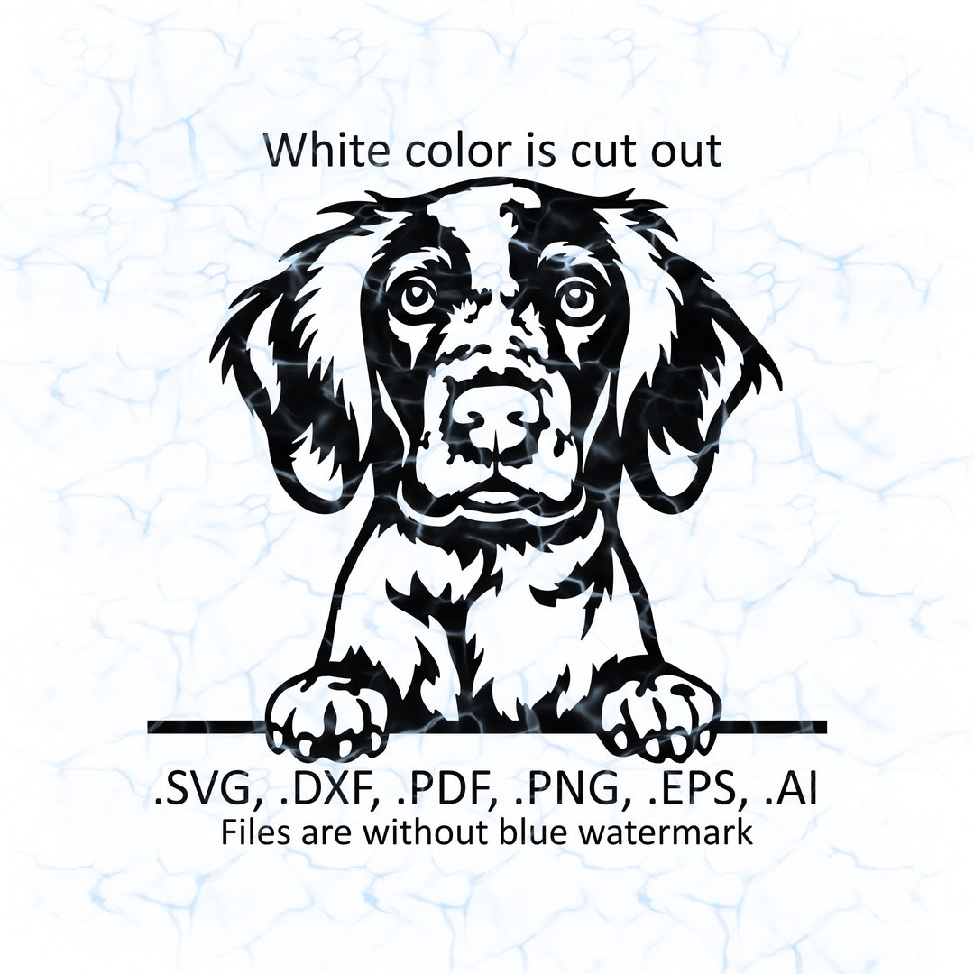 Irish Red and White Setter Svg Vector, Irish Red and White Setter ...