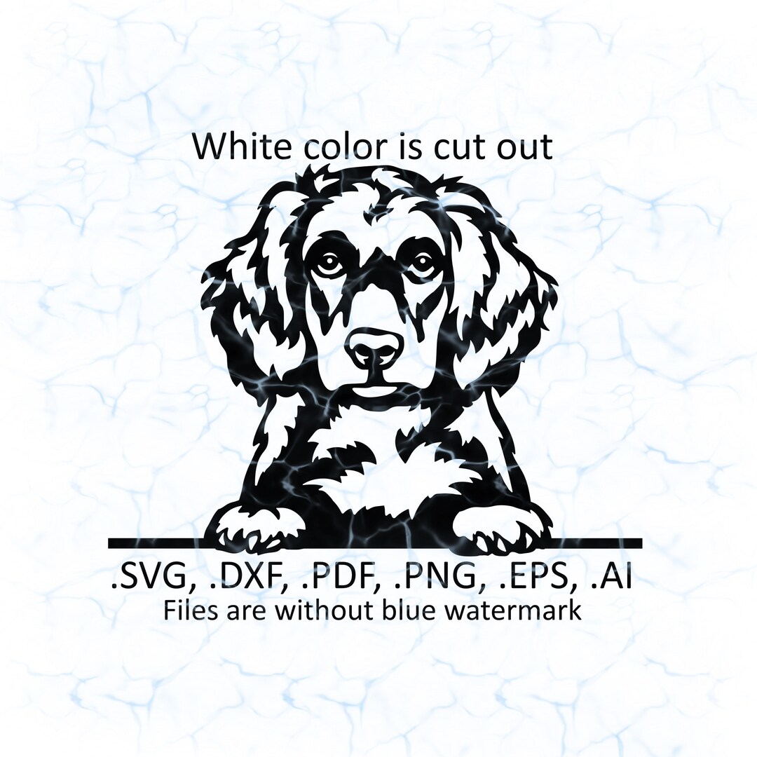 Boykin Spaniel Svg Vector, Boykin Spaniel Peeking Logo, Pdf, Dxf, Ai ...