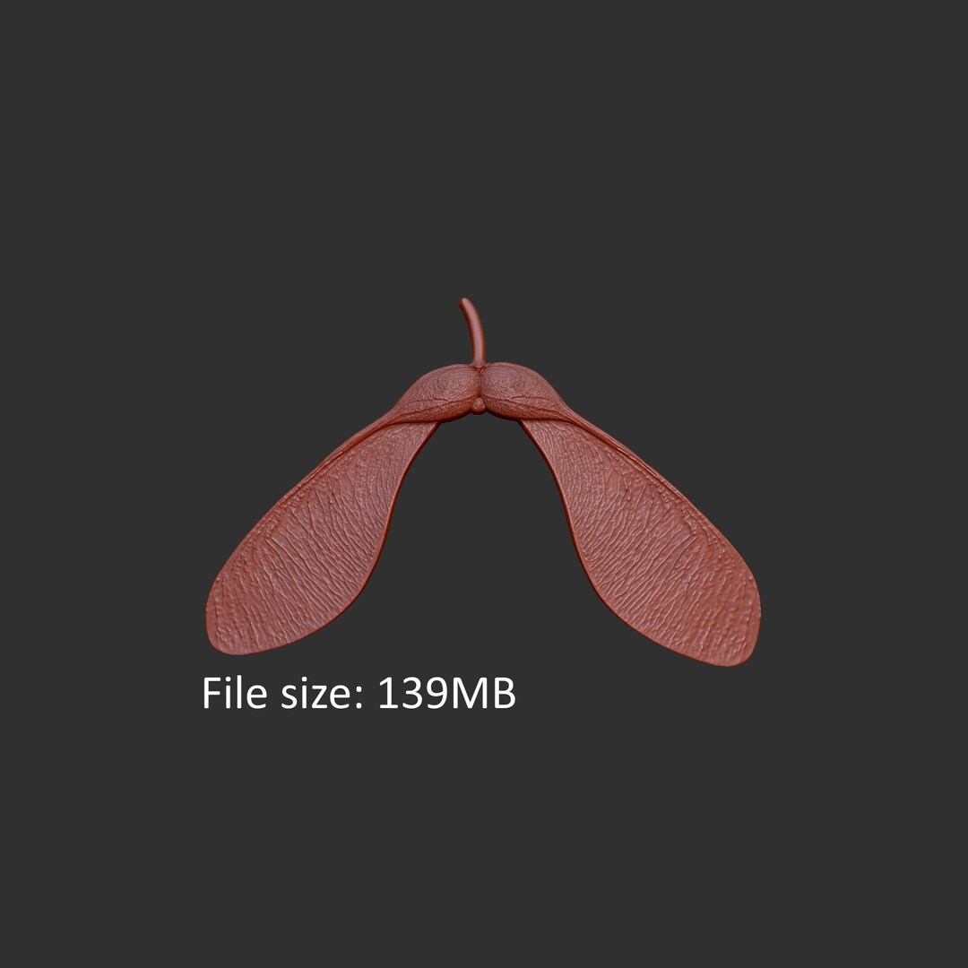 Maple Seeds 3d Stl Model Relief Element, CNC Router Engraver, CNC Files ...