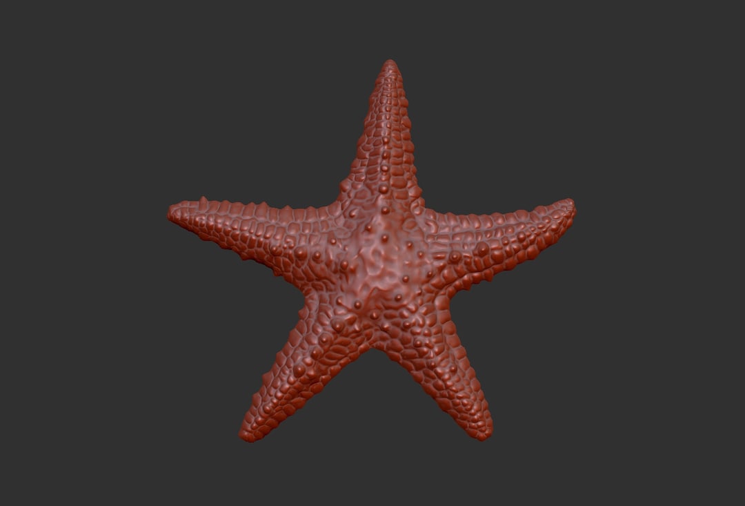 Starfish Stl 3d Model Relief Element, CNC Router Engraver, CNC Files - Etsy