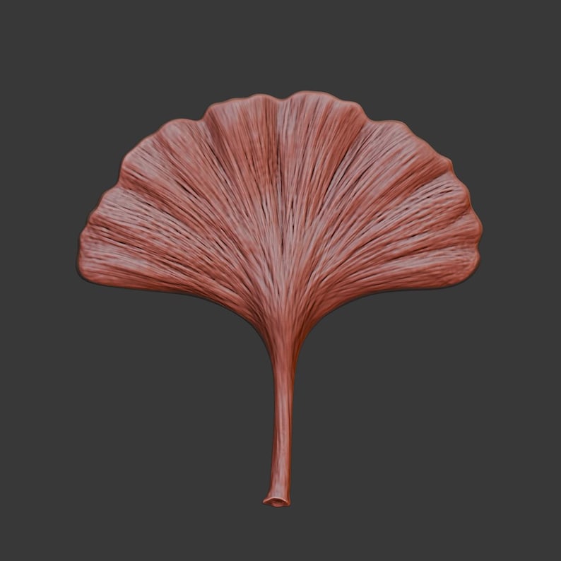 Ginkgo Leaf .stl 3d Models, Relief Elements, CNC Files - Etsy