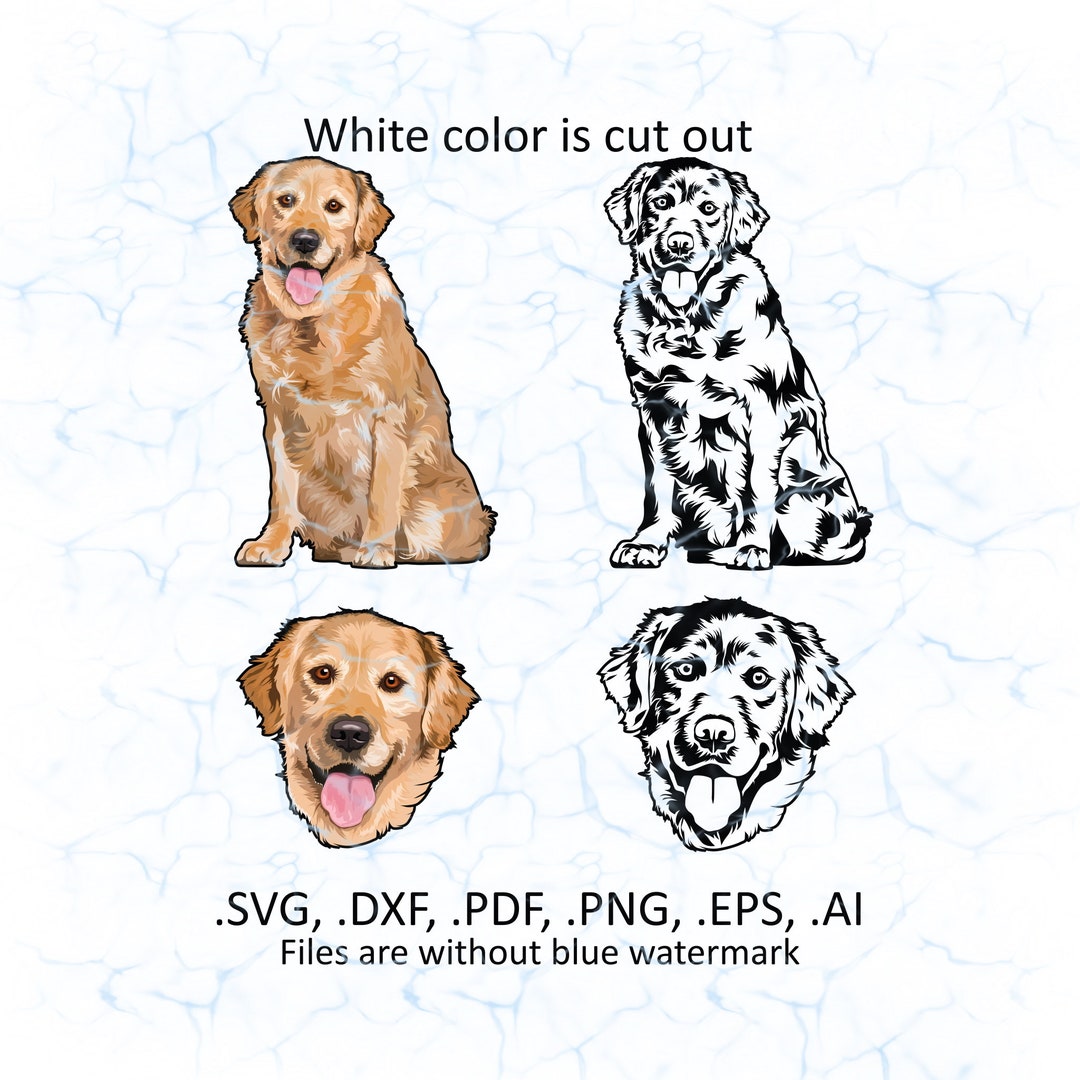 Golden Retriever Svg Vector, Golden Retriever Sitting, Pdf, Dxf, Ai ...