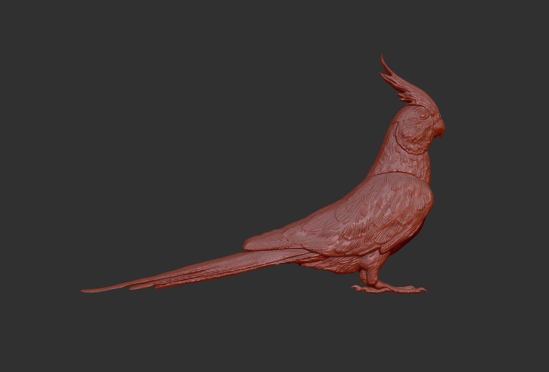 Cockatiel Parrot Stl 3d Model Relief Element, CNC Files - Etsy