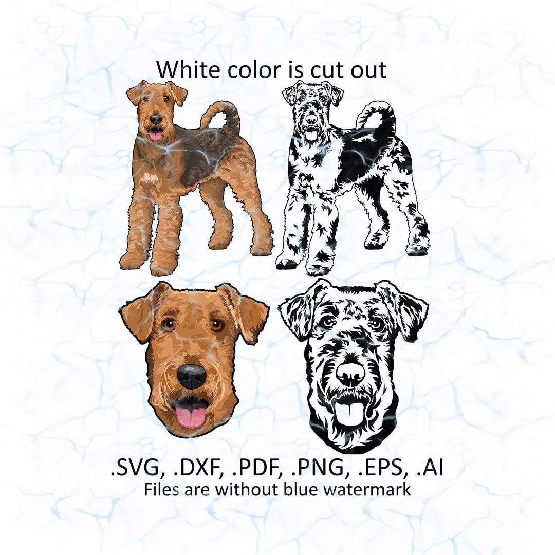 Airedale Svg Vector, Airedale Standing, Pdf, Dxf, Ai, Eps, Png Files - Etsy