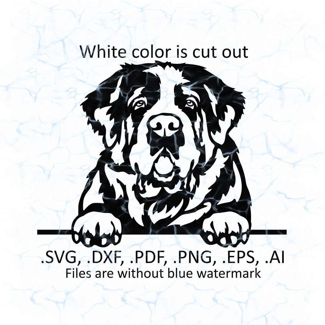 St. Bernard Dog Svg Vector, St. Bernard Dog Peeking Logo, Pdf, Dxf, Ai ...