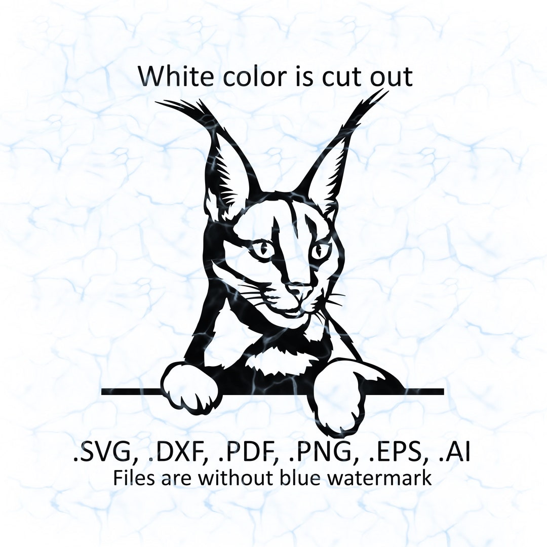 Caracal Svg Vector, Caracal Peeking Logo, Pdf, Dxf, Ai, Eps, Png Files ...