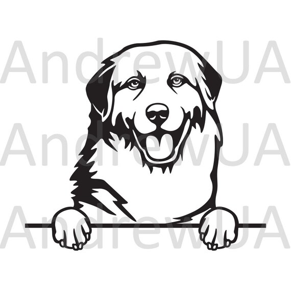Great Pyrenees Vector Svg File Great Pyrenees Dxf File Great | Etsy
