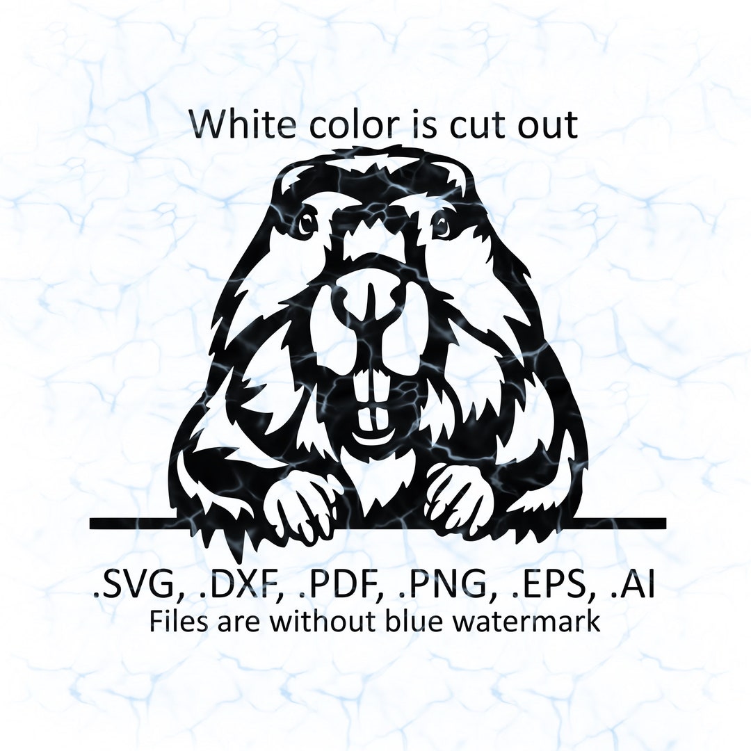 Beaver Svg Vector, Beaver Peeking Logo, Pdf, Dxf, Ai, Eps, Png Files - Etsy
