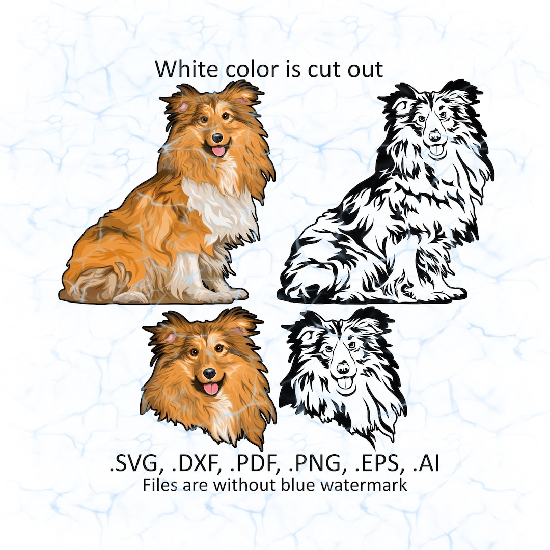 Shetland Sheepdog Svg Vector, Shetland Sheepdog Sitting, Pdf, Dxf, Ai ...