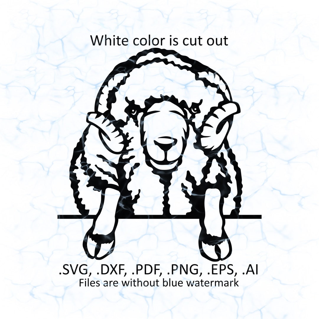 Merino Svg Vector, Merino Peeking Logo, Pdf, Dxf, Ai, Eps, Png Files - Etsy