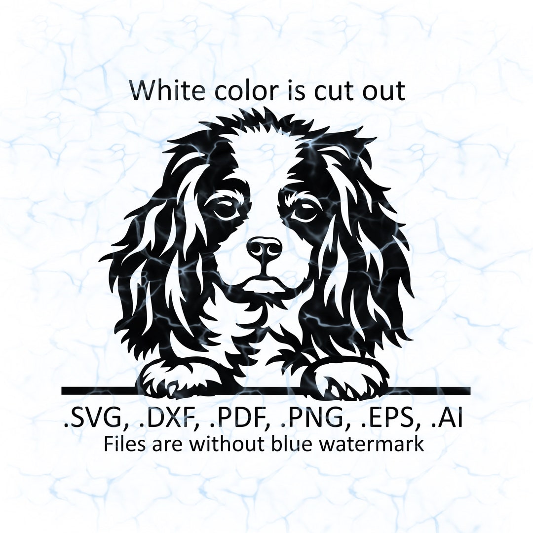 Cavalier King Charles Spaniel Svg Vector, Cavalier King Charles Spaniel ...