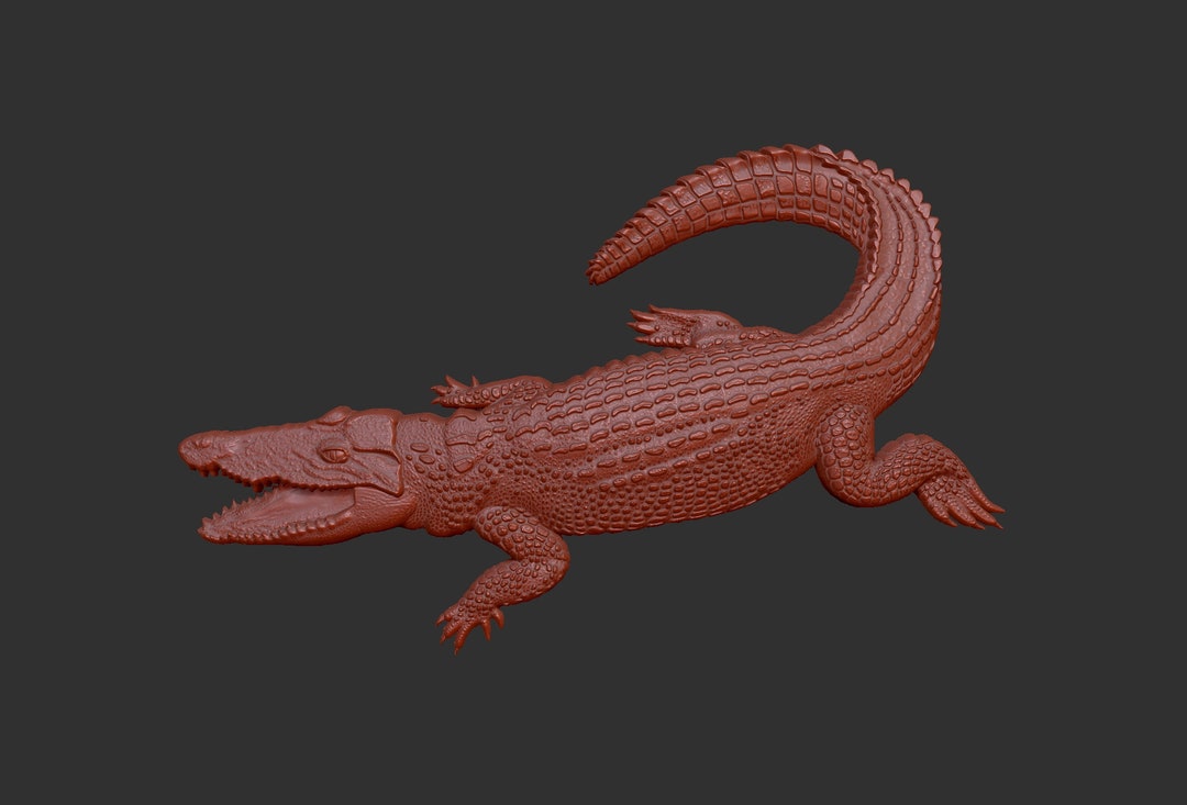 Сrocodile / Alligator Stl Model Relief, CNC Router Engraver, CNC Files ...