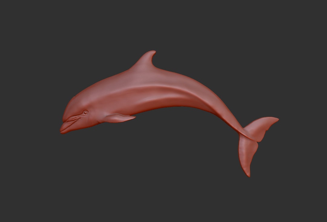 Dolphin Stl 3d Model Relief Element, CNC Router Engraver, CNC Files - Etsy