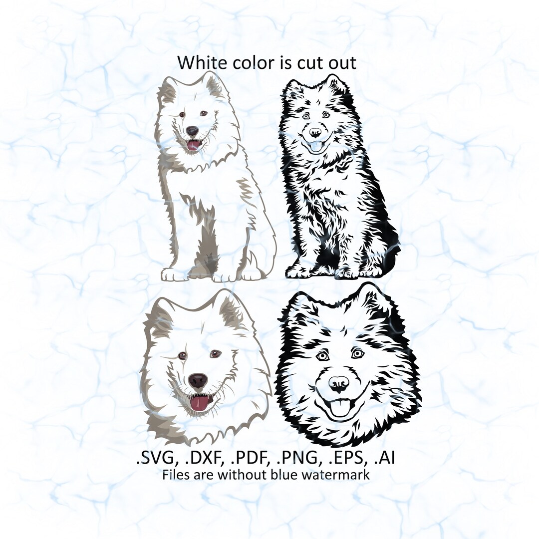 Samoyed Dog Vector Svg Files, Dxf, Pdf, Ai, Eps, Png Files - Etsy