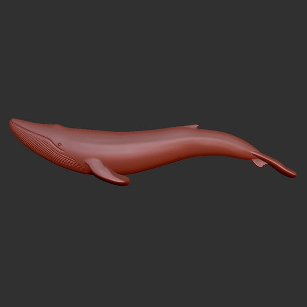 Whale Model Stl Files - Etsy