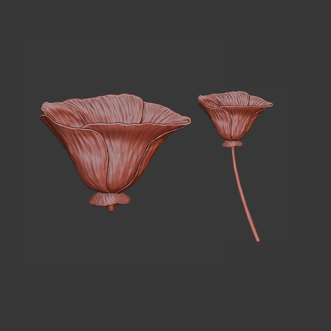 California Poppy .stl 3d Model Relief Elements, CNC Files - Etsy