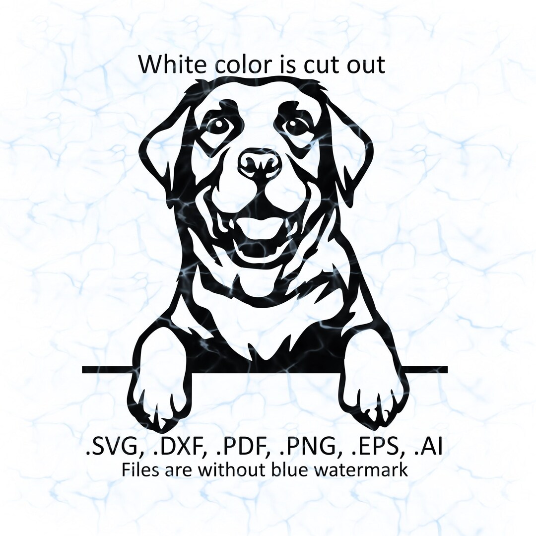 Labrador Retriever Svg Vector, Labrador Retriever Peeking Logo, Pdf ...