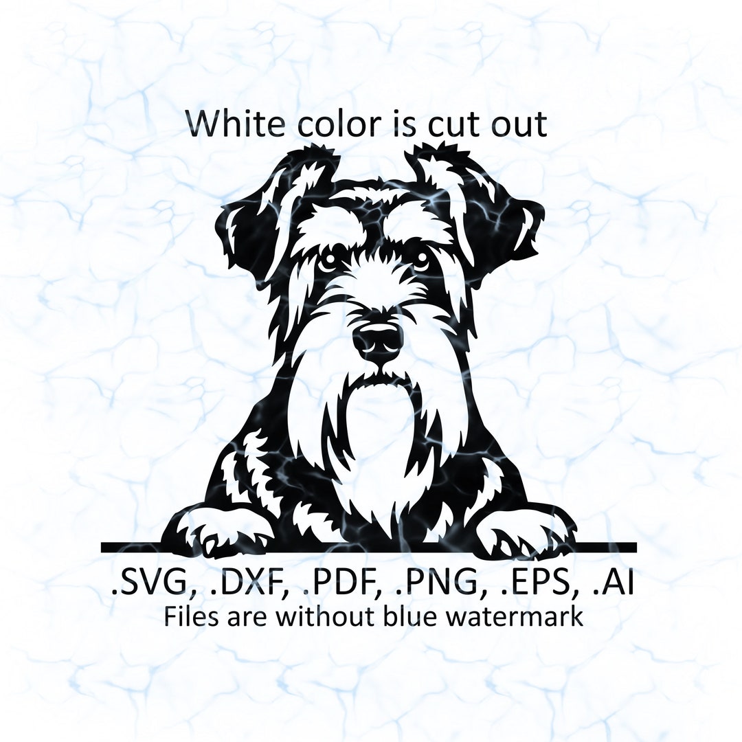 Miniature Schnauzer Svg Vector, Miniature Schnauzer Peeking Logo, Pdf ...