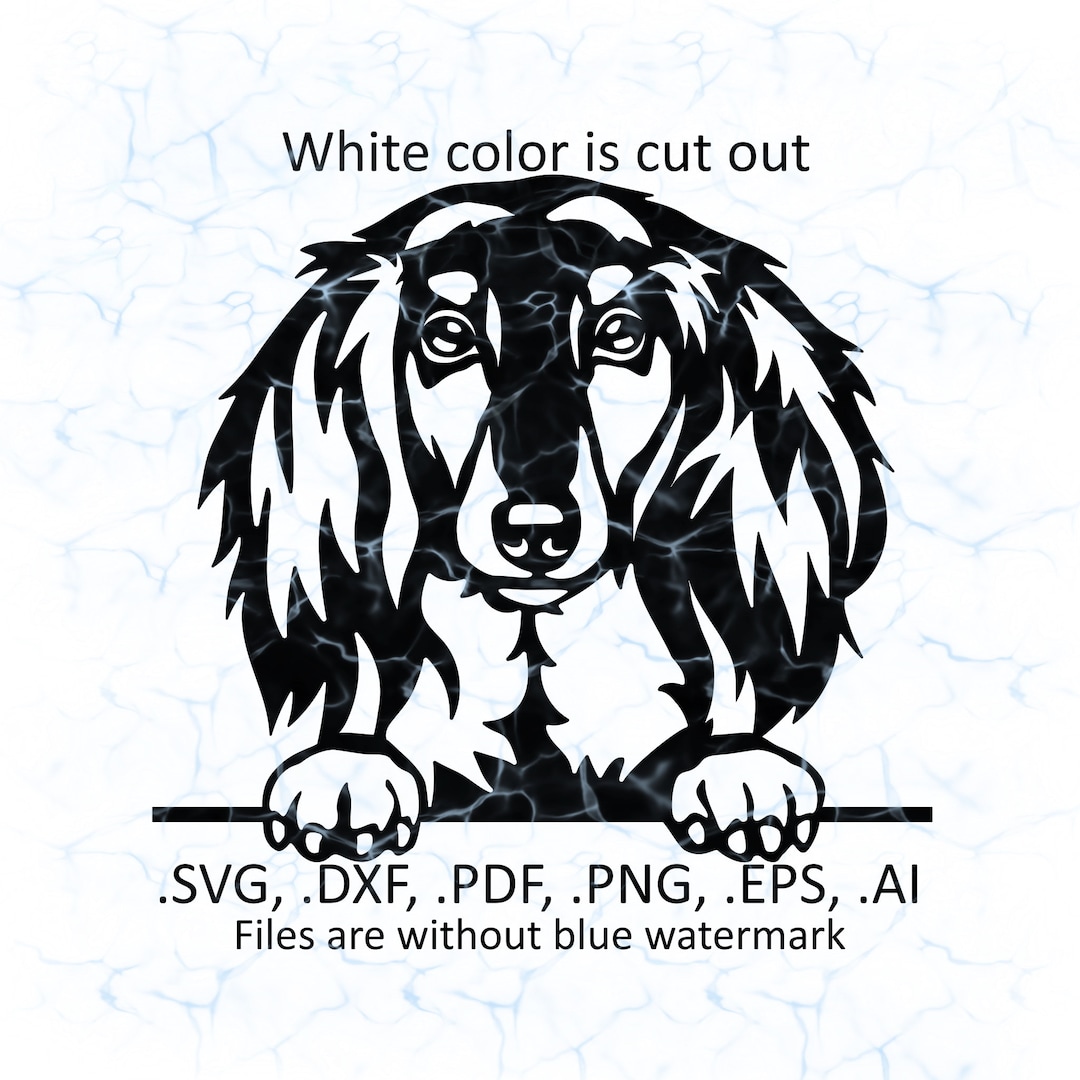 Long-haired Dachshund Svg Vector, Long-haired Dachshund Peeking Logo ...