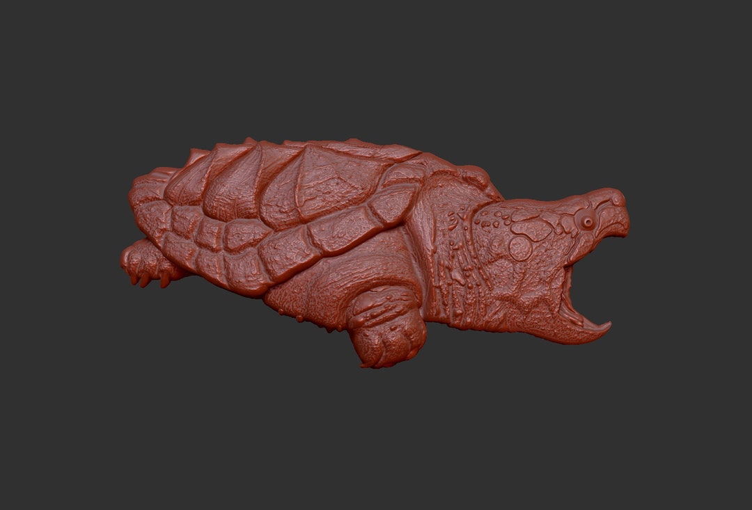 Alligator Snapping Turtle 3d Stl Relief Model, CNC Router Engraver, CNC ...