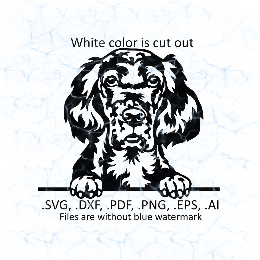 English Setter Svg Vector, English Setter Peeking Logo, Pdf, Dxf, Ai ...