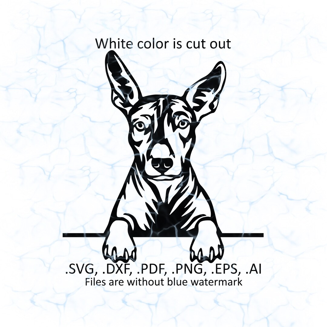 Xoloitzcuintli Svg Vector, Xoloitzcuintle Peeking Logo, Pdf, Dxf, Ai ...