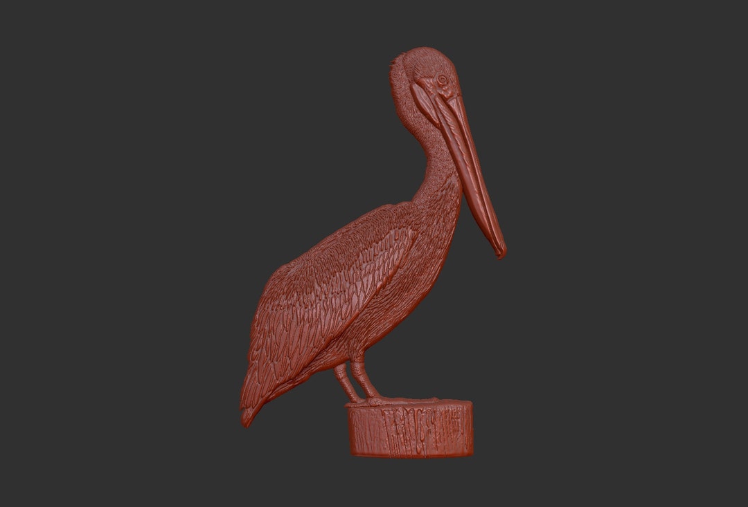 Pelican 3d Stl Model Relief Element, CNC Router Engraver, CNC Files - Etsy