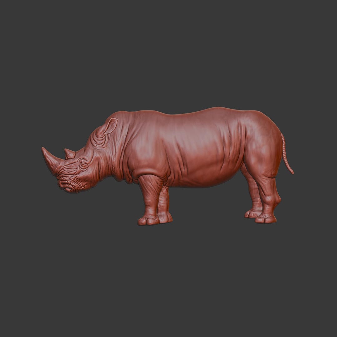 Rhino 3d .stl Model Relief Element, CNC Files - Etsy