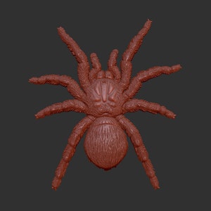 Tarantula Spyder 3d Stl Relief Model, CNC Router Engraver, CNC Files ...