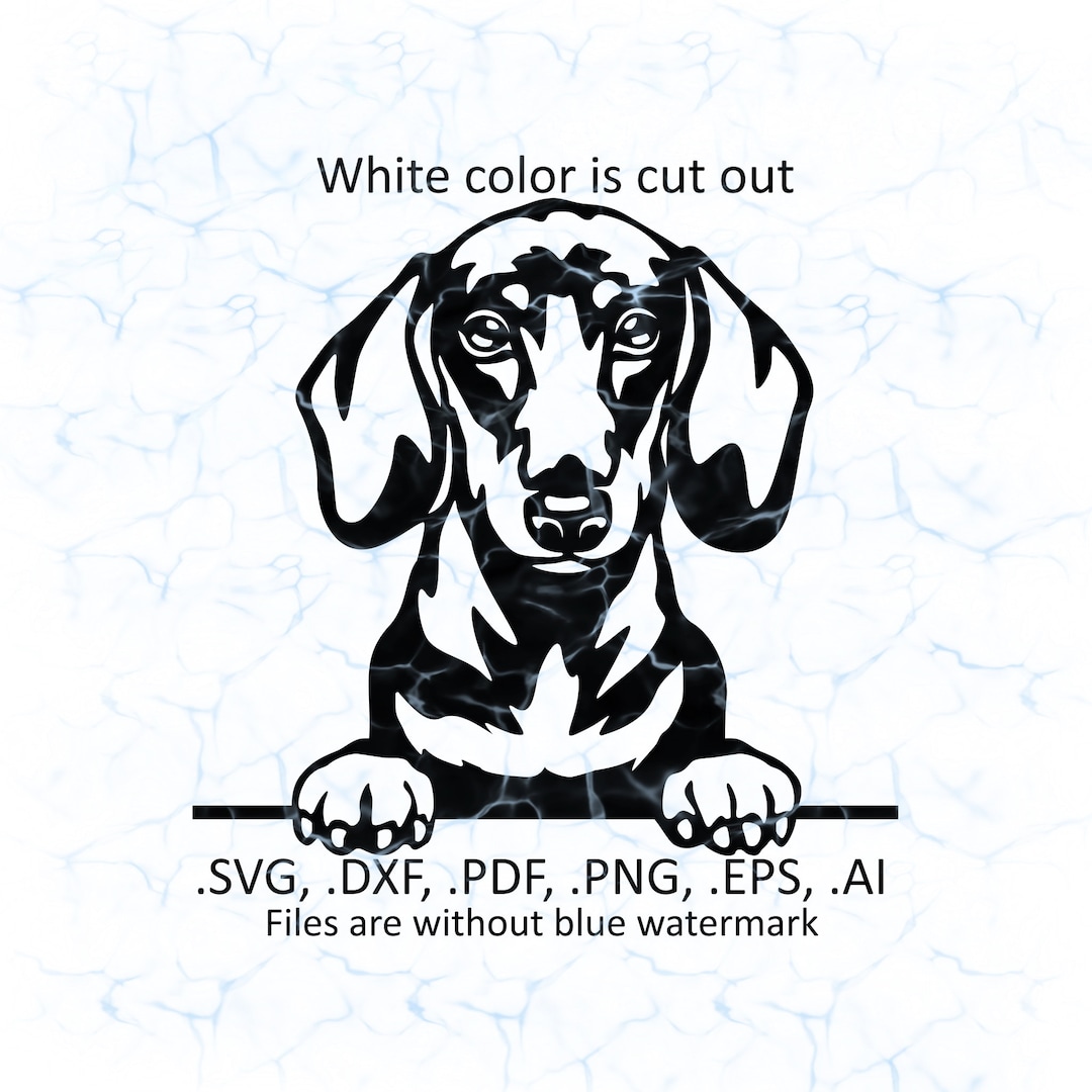 Smooth Haired Dachshund Svg Vector, Smooth Haired Dachshund Peeking ...