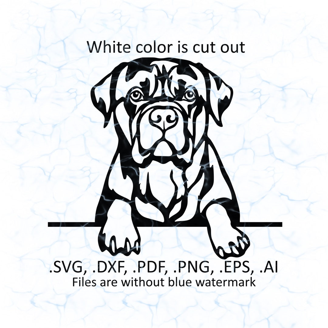 Boerboel Svg Vector, Boerboel Peeking Logo, Pdf, Dxf, Ai, Eps, Png ...